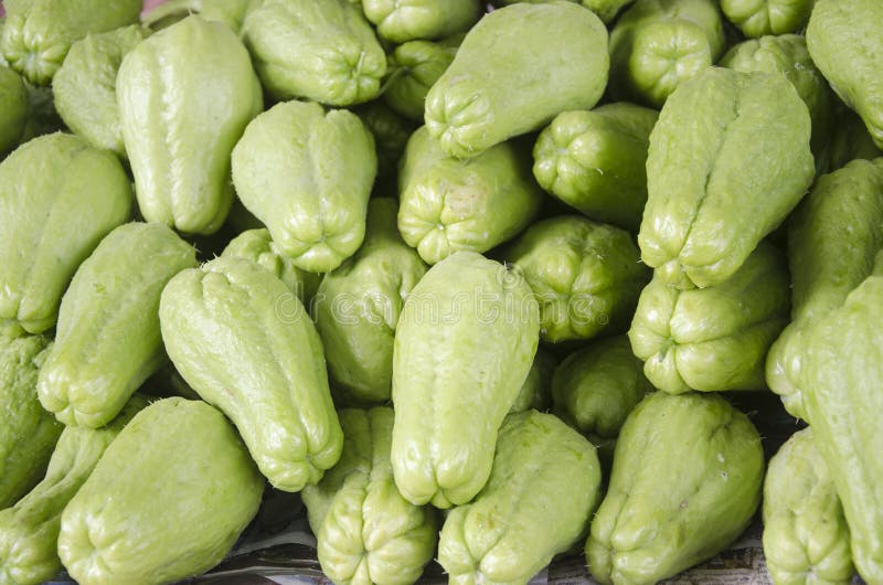 Super fresh bitter gourd stock photo. Image of cuisine - 93482064