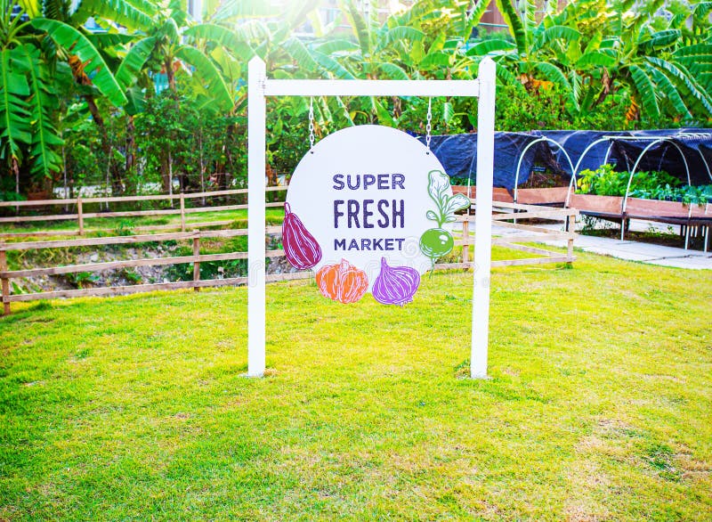 Super Fresh Market Sign Post Market Stock Photo - Image of vegetable ...