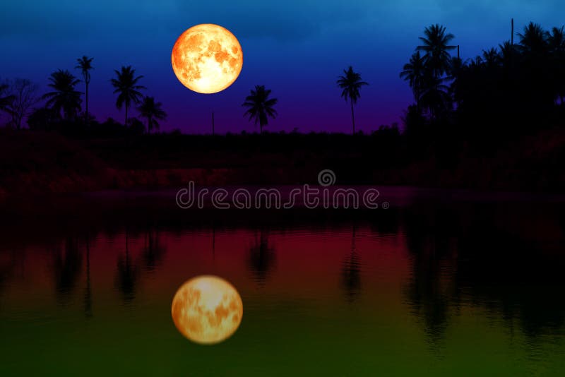 Super Full Blood Moon Reflection on Lake Over Forest Stock Photo ...
