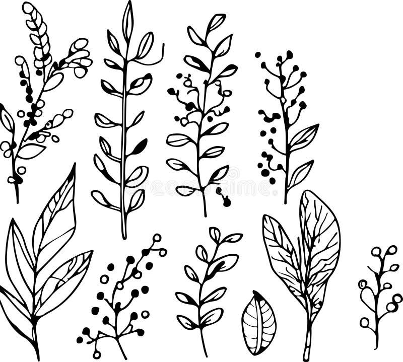 Super Hand Drawn Line Forest Flora Vector Stock Vector - Illustration ...