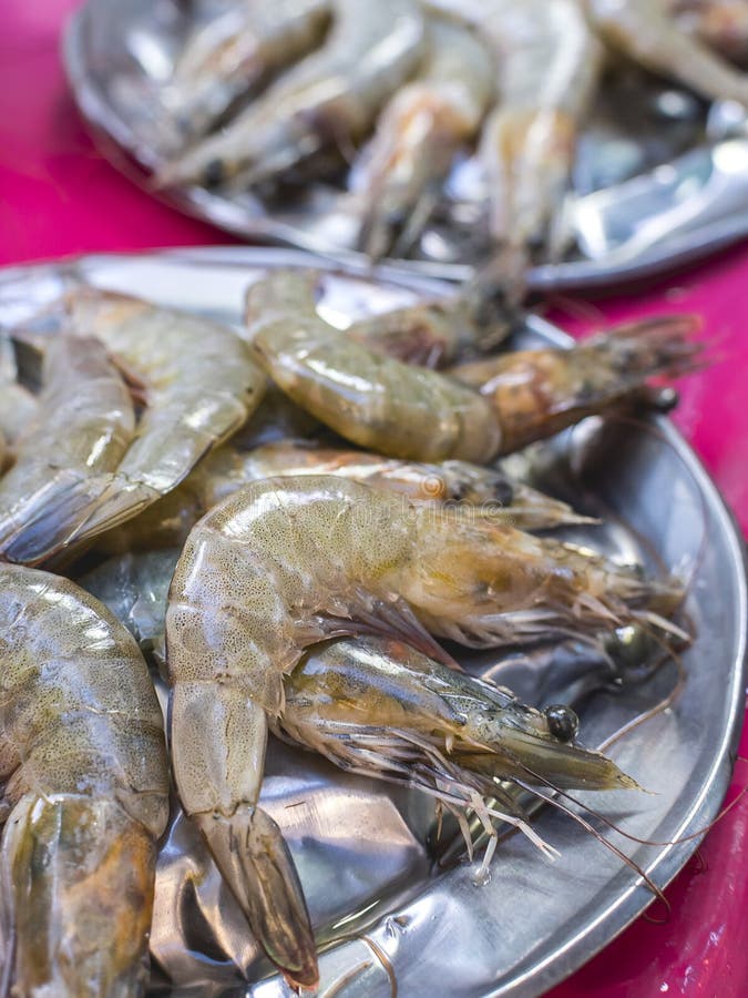 Super Jumbo Shrimp in Ice on Display at a Fish Market Stock Image ...