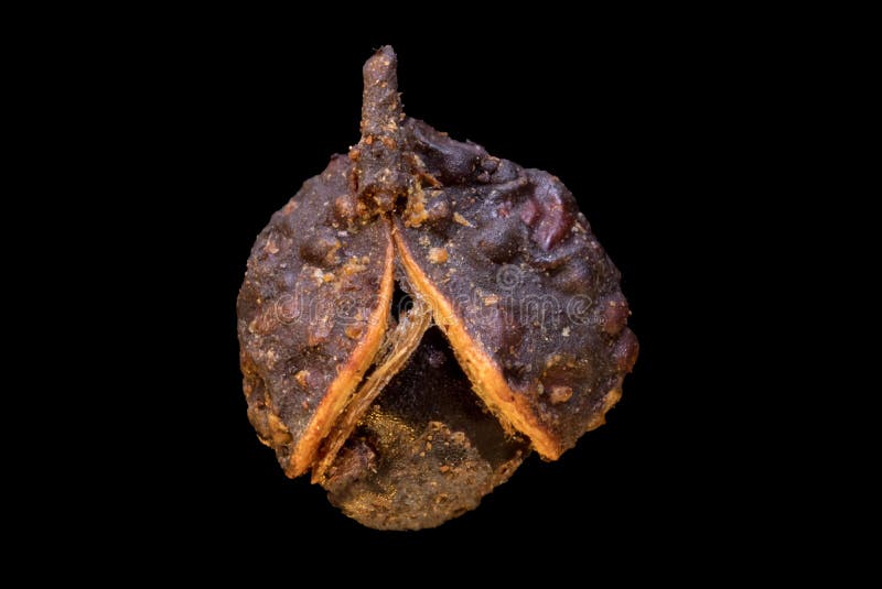 Super Macro Frame One Timut Pepper Large Isolated on Black Background ...