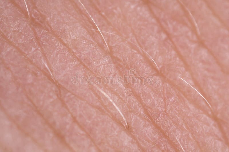 Human skin macro stock image. Image of corneum, skin - 14341663