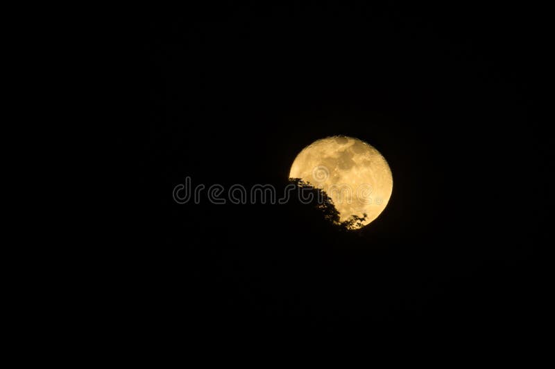 Super Moon Back Up the Mountain with Trees Stock Photo - Image of ...