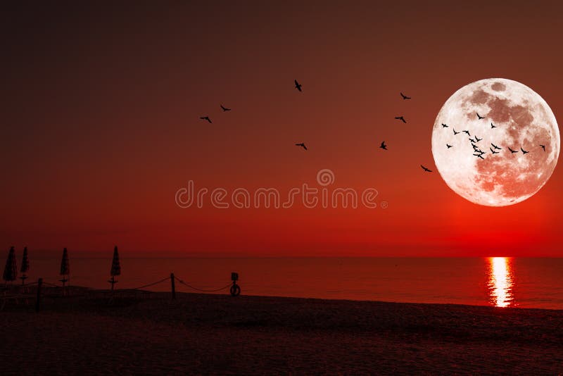 Super Moon on the Sea in a Red Sunset Stock Image - Image of morning ...