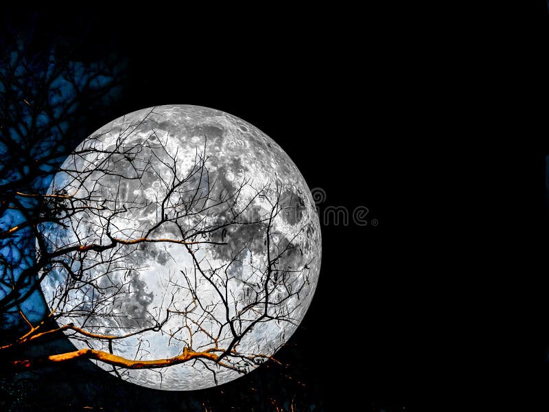 Super Moon Silhouette Dry Tree Stock Photo - Image of eclipses, dark ...