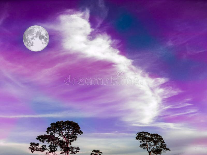 Super Moon on the Sky Over Tree Stock Photo - Image of line, horizon ...