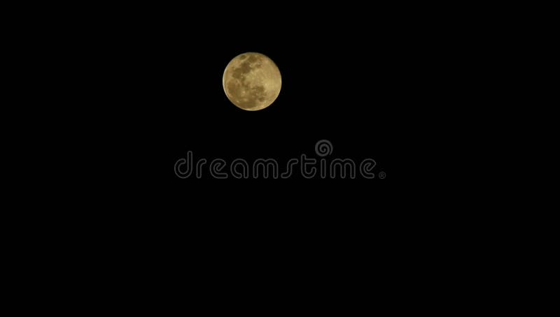 Super Pink Moon 2020: Leaf Shadow Front of the Super Pink Moon Glow in ...