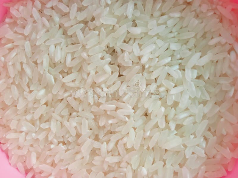 Super Rice, the Staple Food of Asia, is Cooked into Rice Stock Photo ...