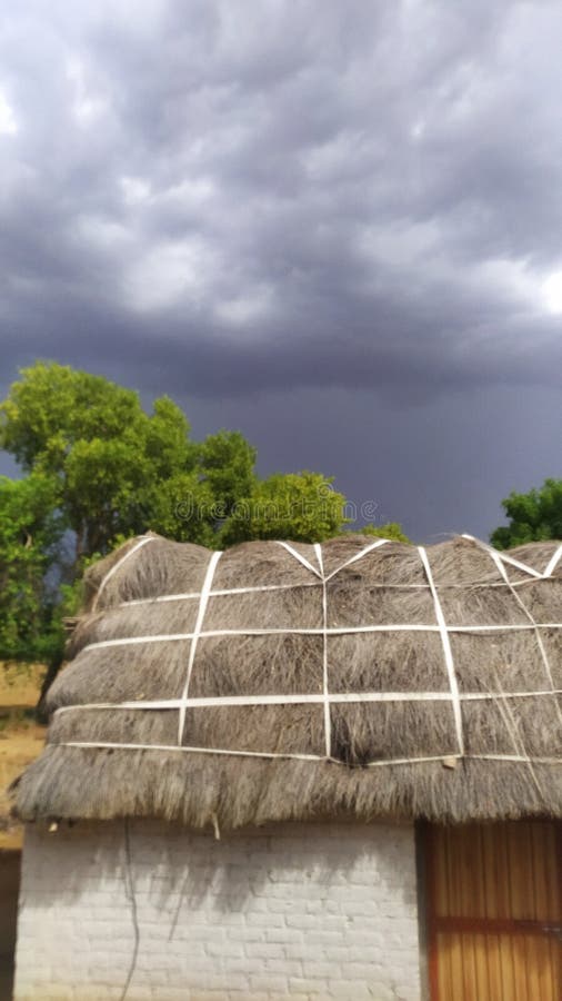 Super Sky with Tree Picture the Best Sky Tree Seen Stock Image - Image ...