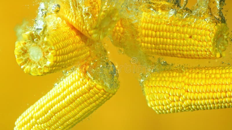 Super Slow Motion Corn Falls Under Water with Bubbles Stock Video ...