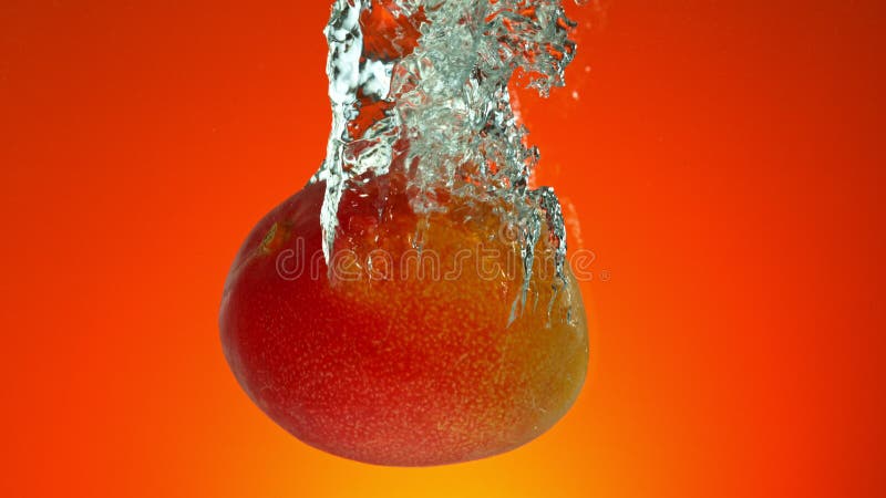 Super Slow Motion of Falling Fresh Mango into Water Stock Footage ...