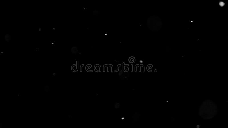 Super Slow Motion Shot of Real Snowfall Stock Footage - Video of ...