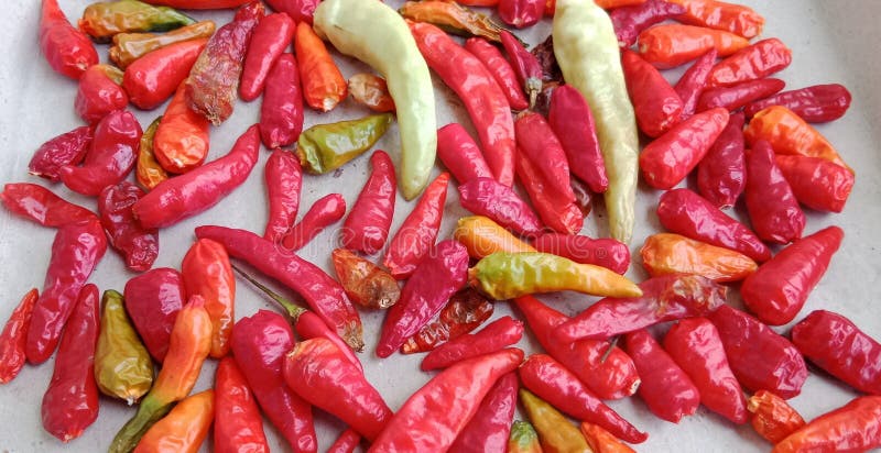 Super Spicy Red Devil Chili Stock Photo - Image of spicy, chili: 331459330