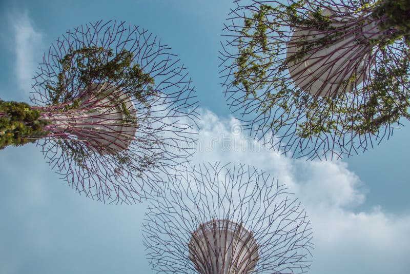 Super tree Grove stock photo. Image of plant, sculpture - 66051804
