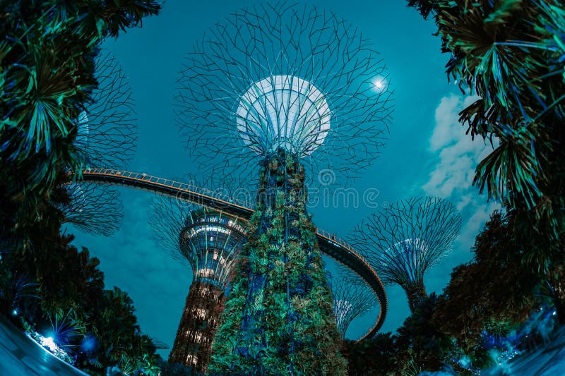 Super tree night view editorial photo. Image of tourist - 357071876