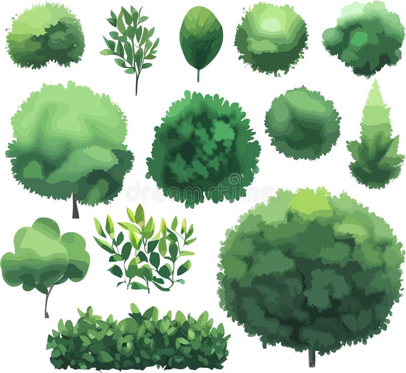 Super Trees Bushes Shrubs Top View Vector Stock Vector - Illustration ...
