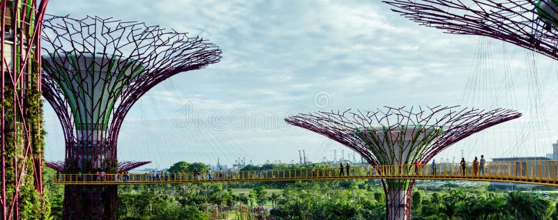 Super Trees Night Scene at Singapore Gardens by the Bay Stock Image ...