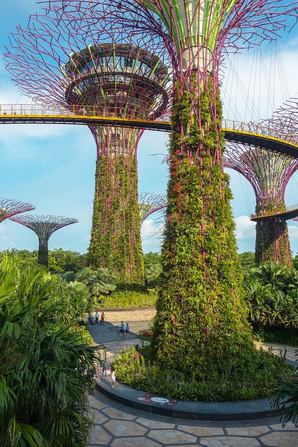 Super Trees in Singapore stock image. Image of draw, world - 77195683