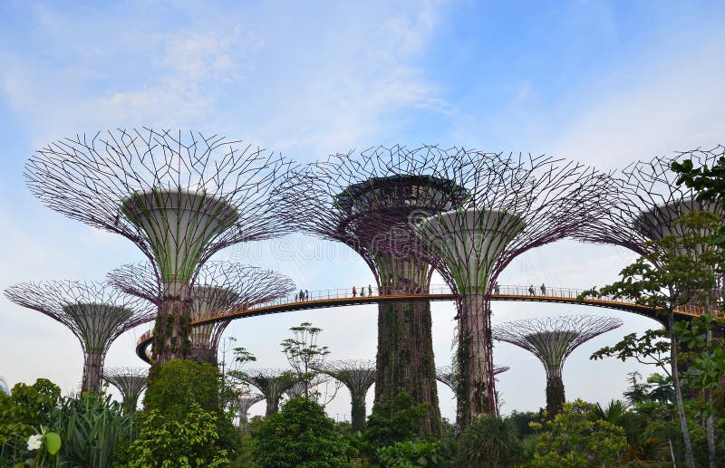 Super Trees Night Scene at Singapore Gardens by the Bay Stock Image ...