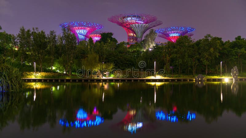 Super Trees of Singapore stock video. Video of nature - 74900371