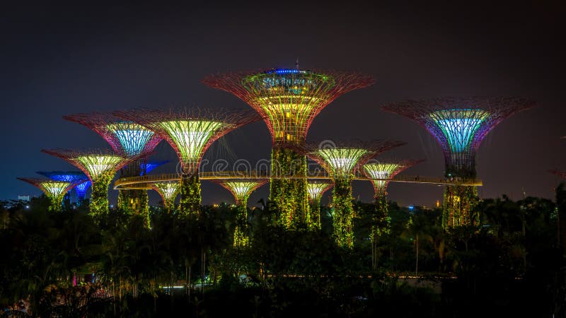 Super Trees in Singapore stock image. Image of architecture - 135507589