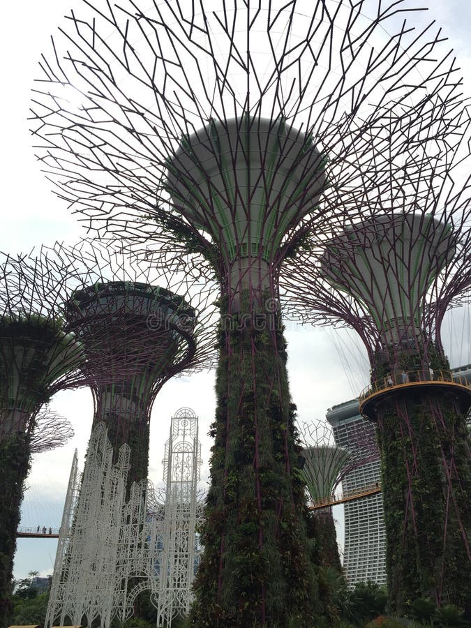 Super Trees stock photo. Image of gardensbythebay, trees - 170171452