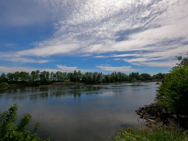 Super Wide Angle Shots with Action Cam of Forest and Meadow in Spring ...