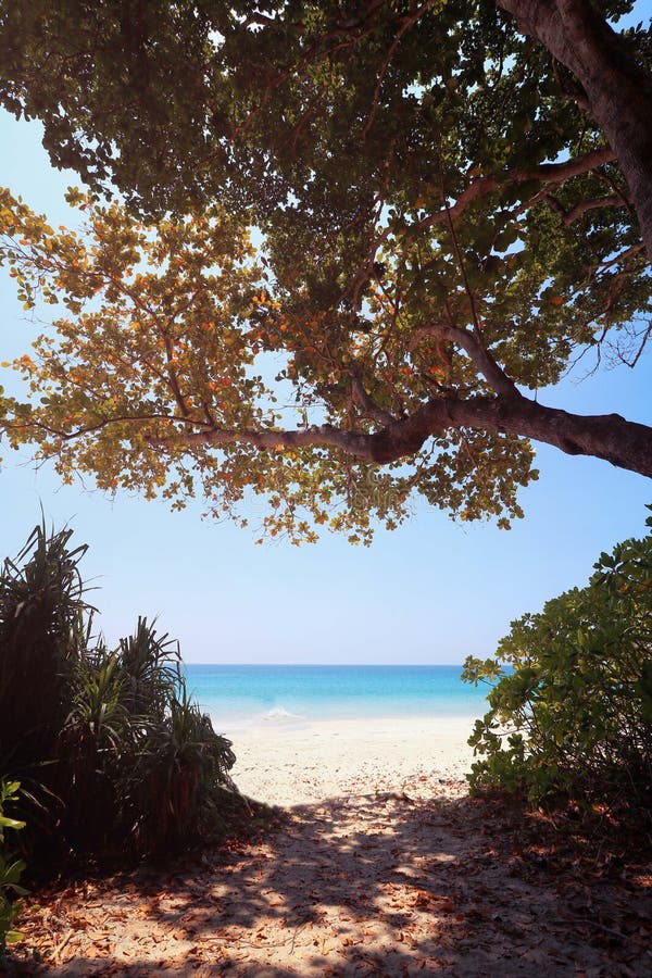 Superb View of Way To Beach Stock Photo - Image of beautiful, andaman ...