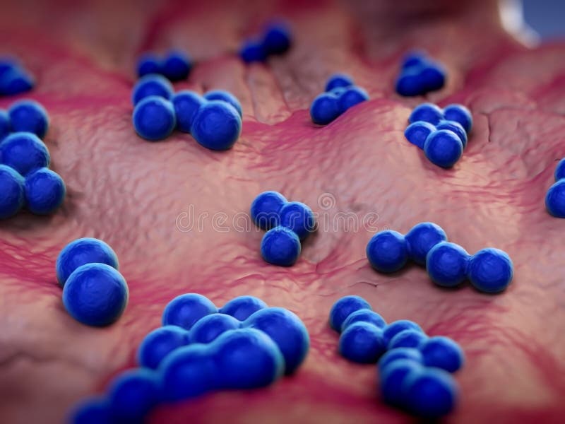 Superbug bacteria stock illustration. Illustration of coccus - 77284510