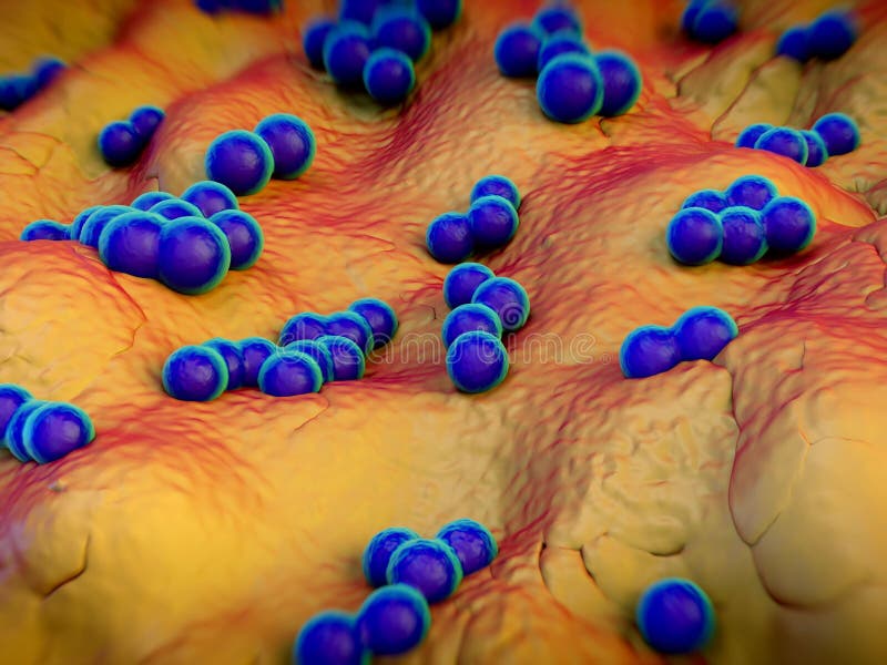 Superbug bacteria stock illustration. Illustration of bacterium - 77284596