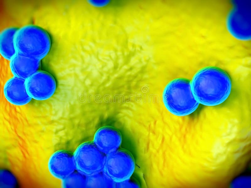 Superbug bacteria stock illustration. Illustration of biology - 77284605