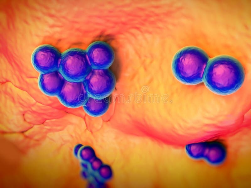 Superbug bacteria stock illustration. Illustration of acquired - 77284629