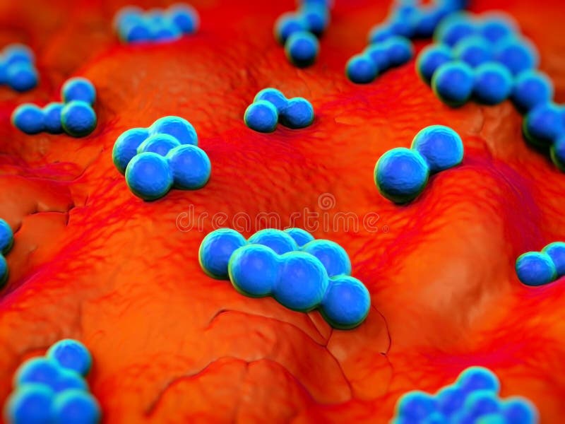 Superbug bacteria stock illustration. Illustration of magnified - 77284635
