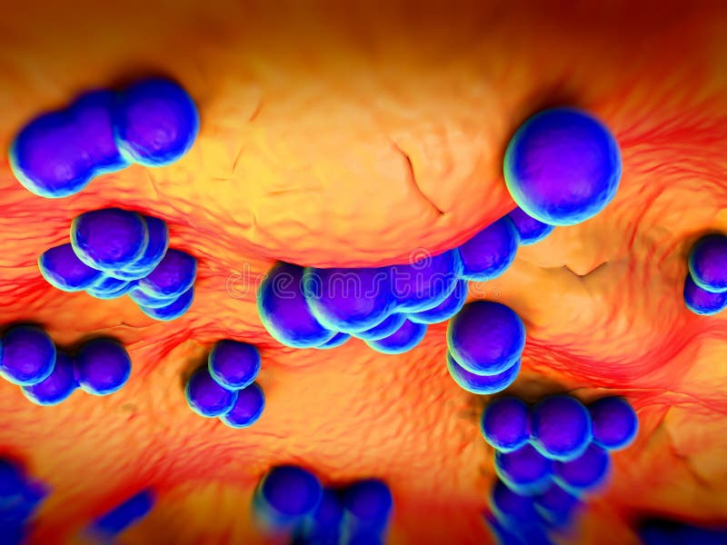 Superbug bacteria stock illustration. Illustration of dividing - 77284641