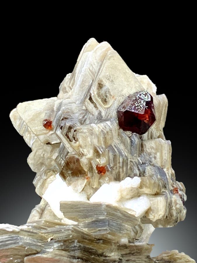 Almandine Garnet on Mucovite Mica Mineral Specimen Crystal from ...