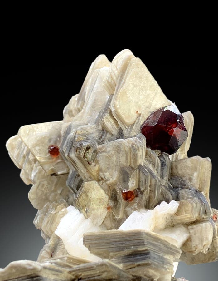Almandine Garnet on Mucovite Mica Mineral Specimen Crystal from ...