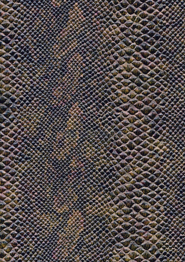 Pelle Riportata In Scala Del Serpente Su Fondo Bianco, Macro Foto ...