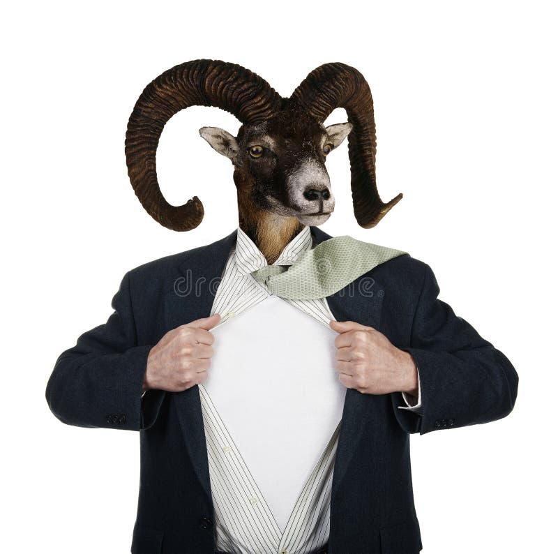 Superhero Met Hoofd Van Een Geit Stock Afbeelding - Image of concepten ...