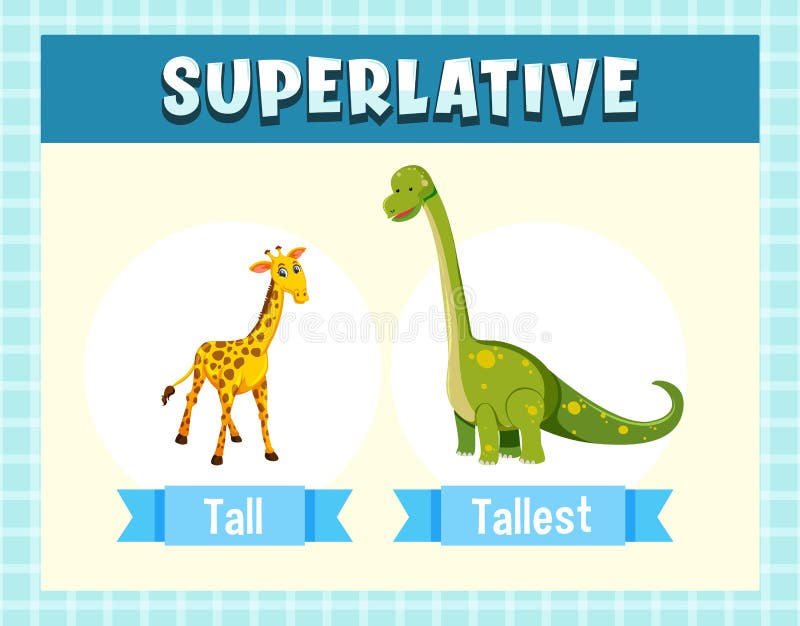 Superlative Adjectives for Word Tall Stock Vector - Illustration of ...