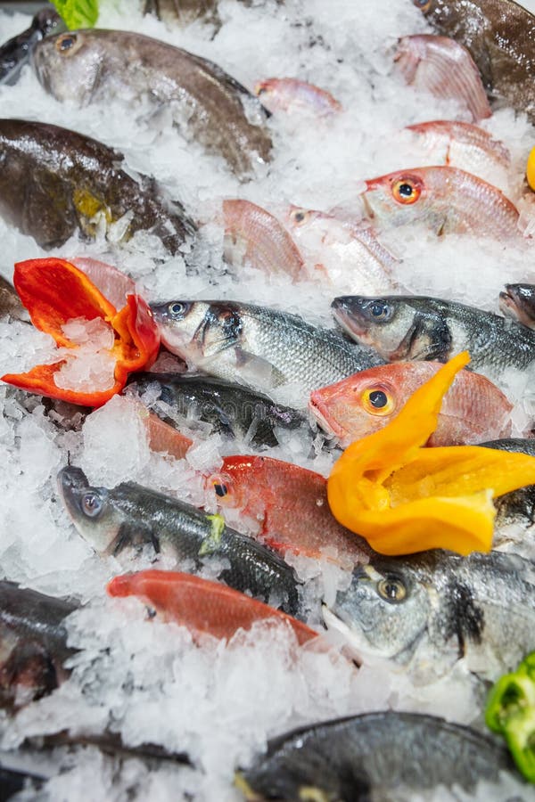 Supermarket Fishmonger with Fresh Fish Stock Image - Image of fresh ...