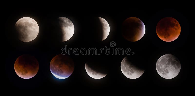 509 Supermoon Estrus Cycle Stock Photos - Free & Royalty-Free Stock ...
