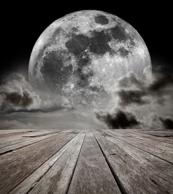 200 Midnight Timber Stock Photos - Free & Royalty-Free Stock Photos ...