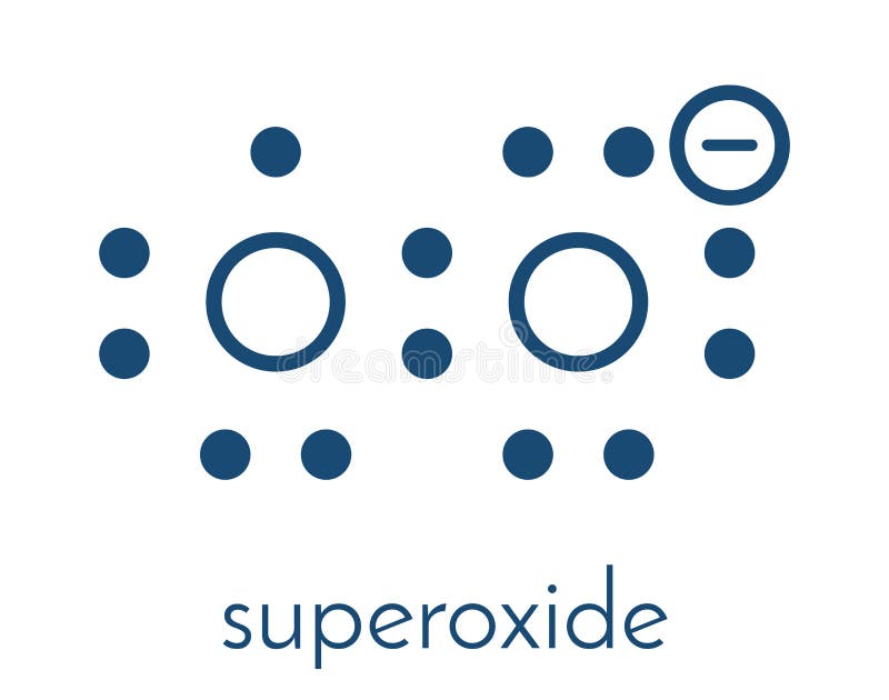 Superoxide Dismutase 1 SOD1 Enzyme. Converts Superoxide Radical in ...