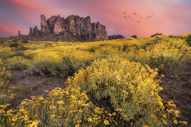Superstition Mountain Spring Stock Image - Image of travel, outdoors ...