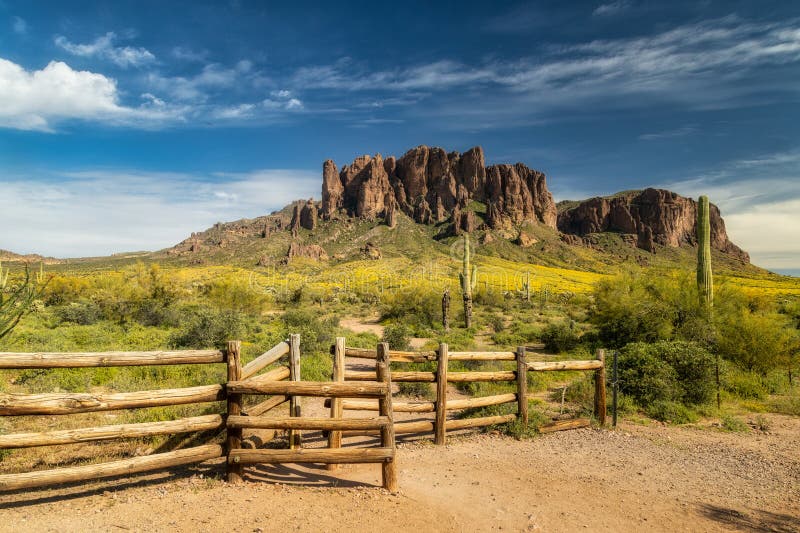 Superstition Mountain Spring Stock Image - Image of wildflowers, wild ...