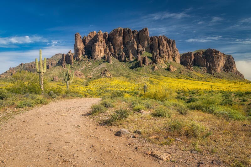 Superstition Mountain Spring Stock Photo - Image of march, beautiful ...