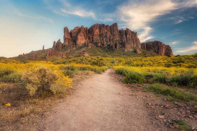 Superstition Mountain Spring Stock Photo - Image of trail, natural ...