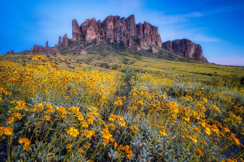 Superstition Mountain Spring Stock Image - Image of wild, march: 322664341