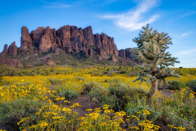 Superstition Mountain Spring Stock Photo - Image of nature, hike: 323787338